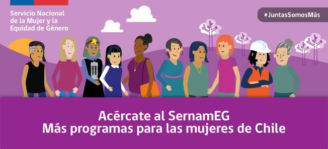 Gob.cl: Article: [Archivo] Sernameg: Programas E Iniciativas Para Las Mujeres